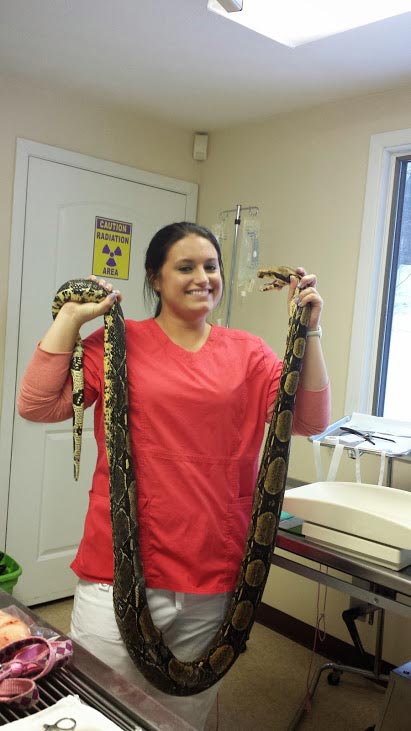 Snake_Reconstruction - Good Shepherd Veterinary Hospital