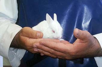 small mammal vet services - Good Shepherd Veterinary Hospital